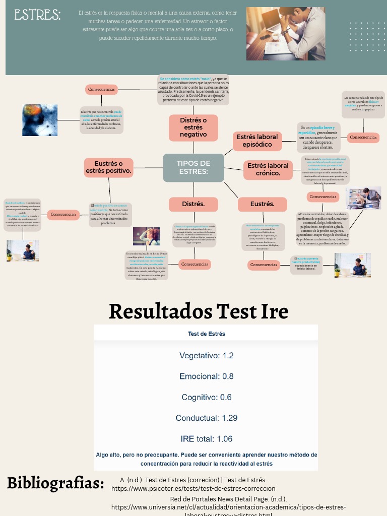 Evidencia 3. Mapa Conceptual | PDF | Estrés (biología) | Epidemiología