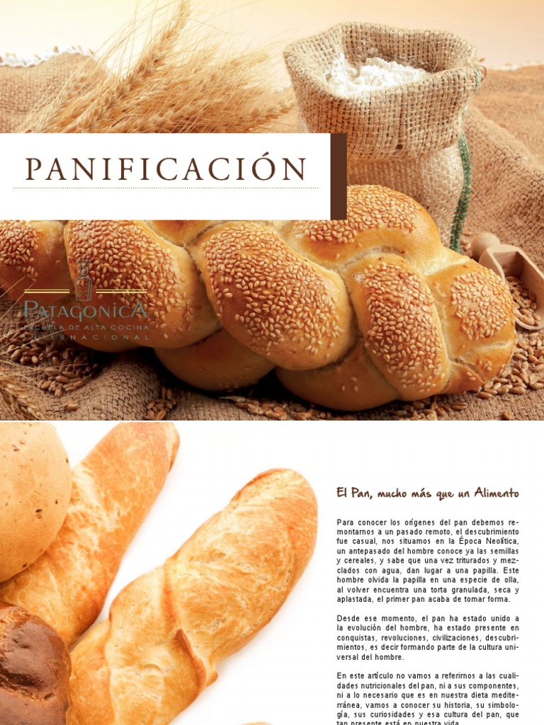 Panificacion I | PDF | Panes | Levadura