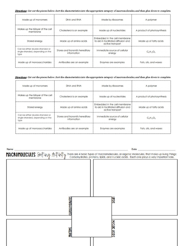 Macromolecules Sorting Cards 2022 | PDF
