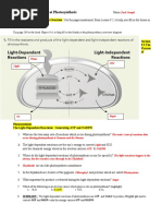 Photosynthesis Virtual Lab Simulation | PDF | Photosynthesis | Experiment