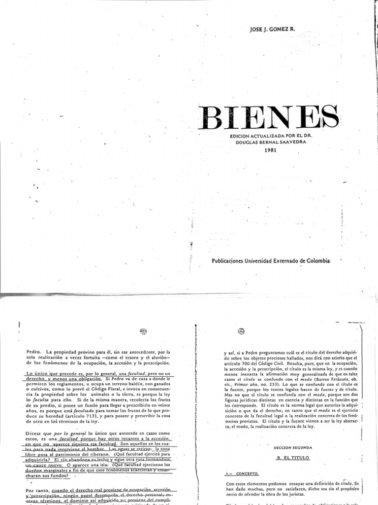 Bienes - JJ Gómez - Título y Modo | PDF