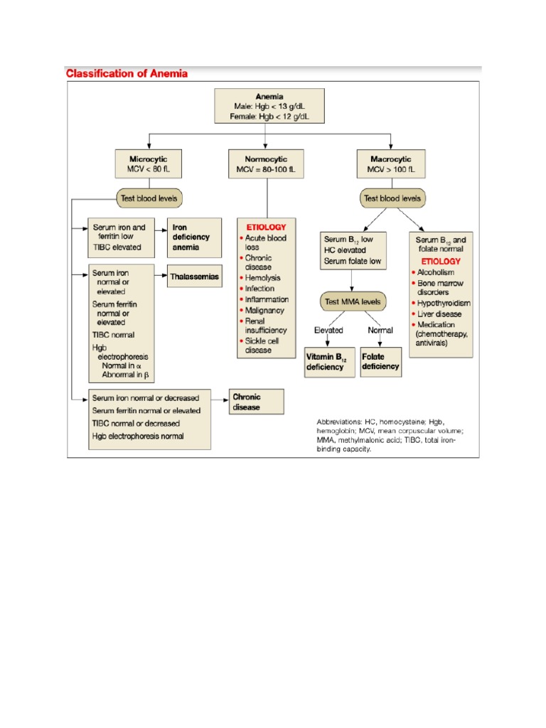 Iron Deficiency Anemia | PDF | Anemia | Blood
