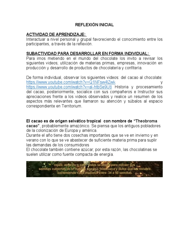 Reflexión Inicial | PDF