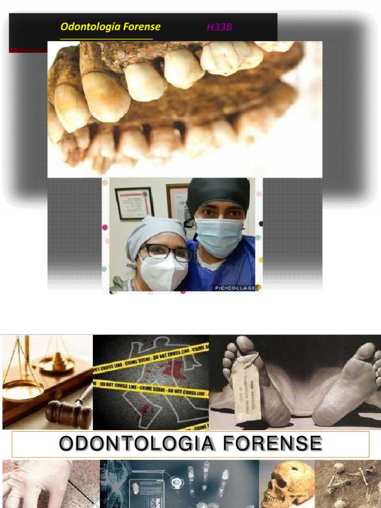 Odontología Forense | PDF | Odontología | Jurisprudencia médica