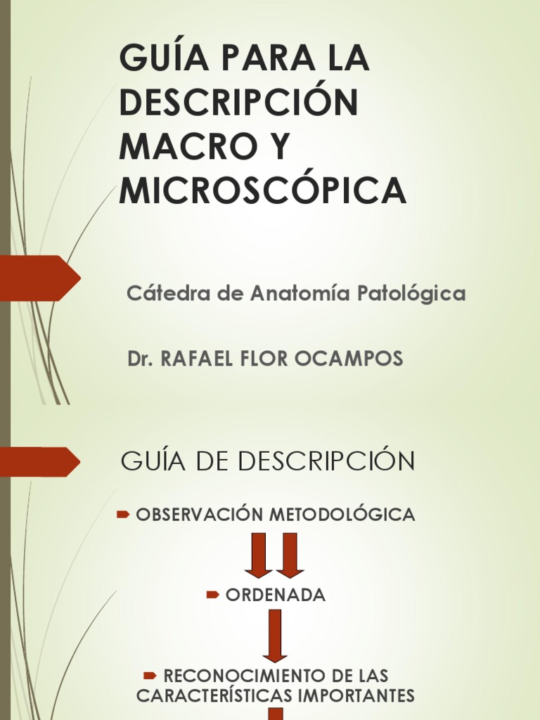 Anatopato I - C2 - Guia de Descripción Macro-Micro | PDF | Epidemiología | Medicina