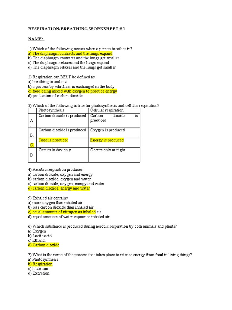 Breathing and Respiration Worksheet | PDF | Breathing | Oxygen