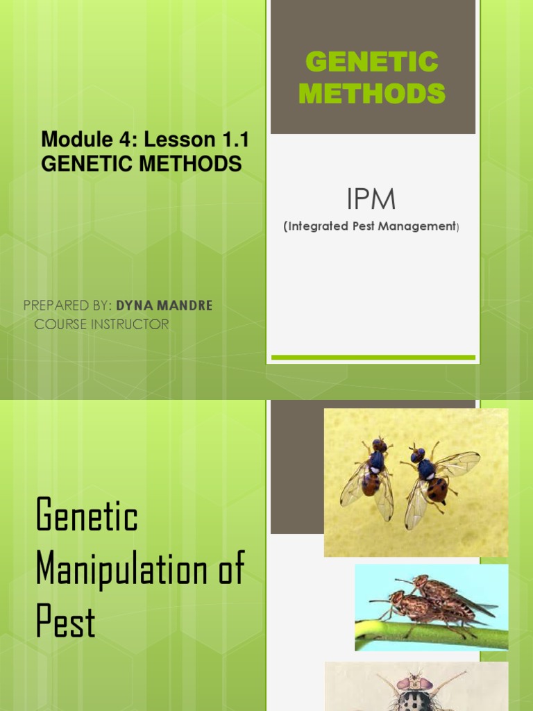 Genetic Manipulation | PDF | Genetically Modified Organism | Genetic Engineering