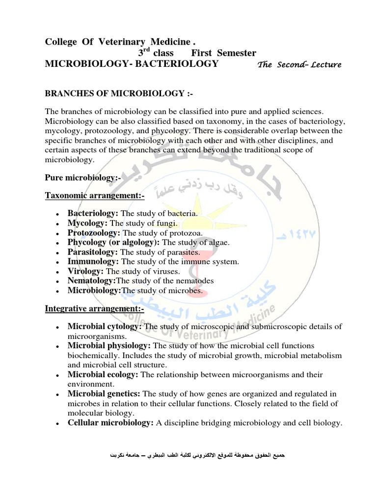 The Second - Lecture | PDF