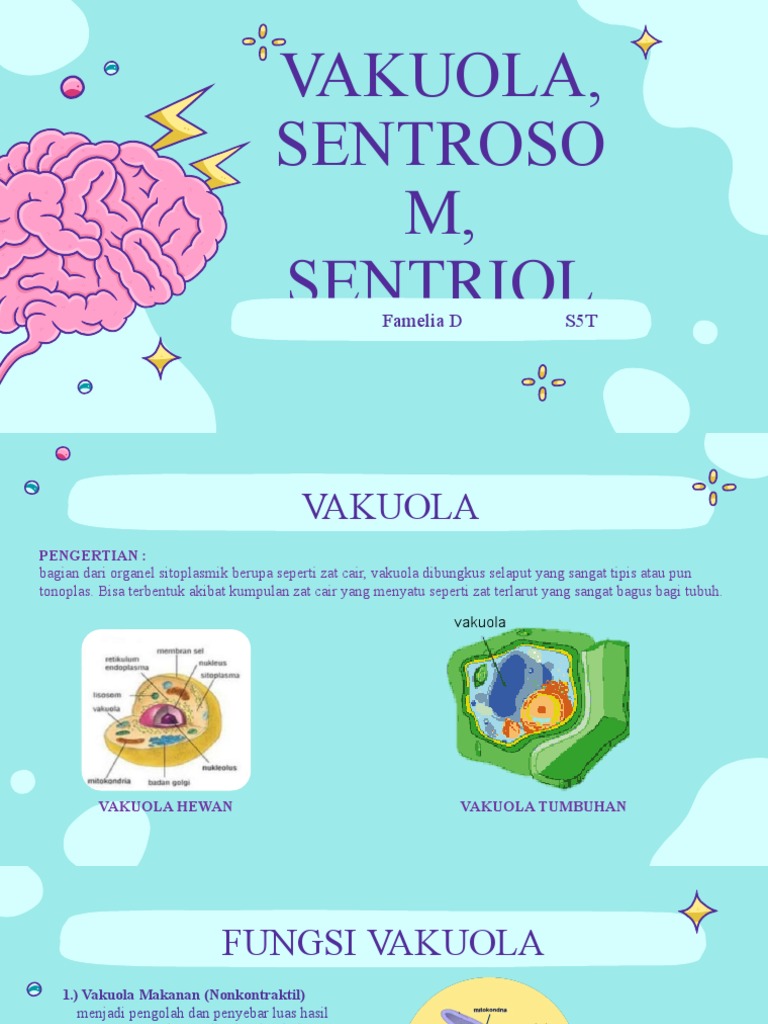 Biologi Vakuola, Sentriol, Dan Sentrosom | PDF | Sains & Matematika