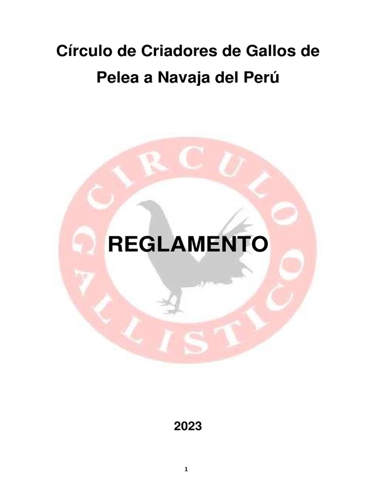 Reglamento 2023 | PDF
