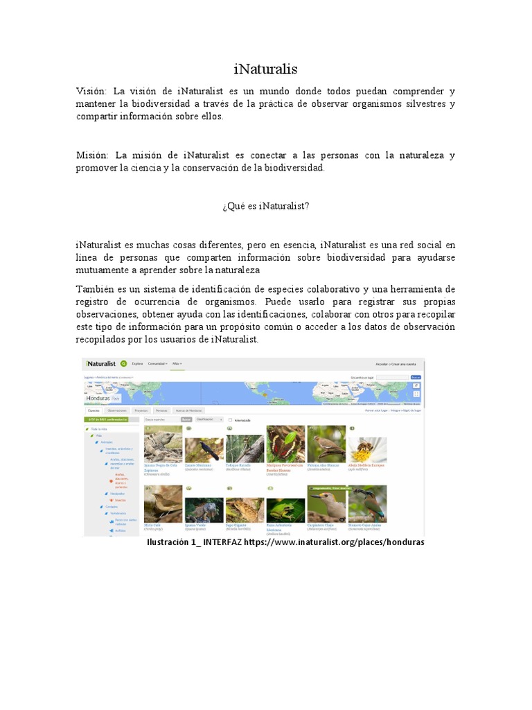 I Naturalis | PDF | Los bosques | Biodiversidad