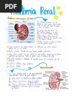 Anatomía y Fisiología Anorrectal | PDF | Recto | Sistema digestivo