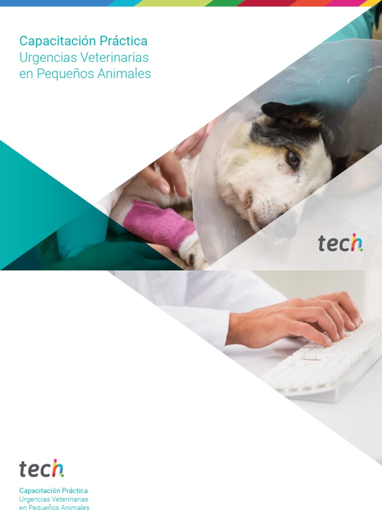 Capacitacion Practica Urgencias Veterinarias Pequenos Animales | PDF