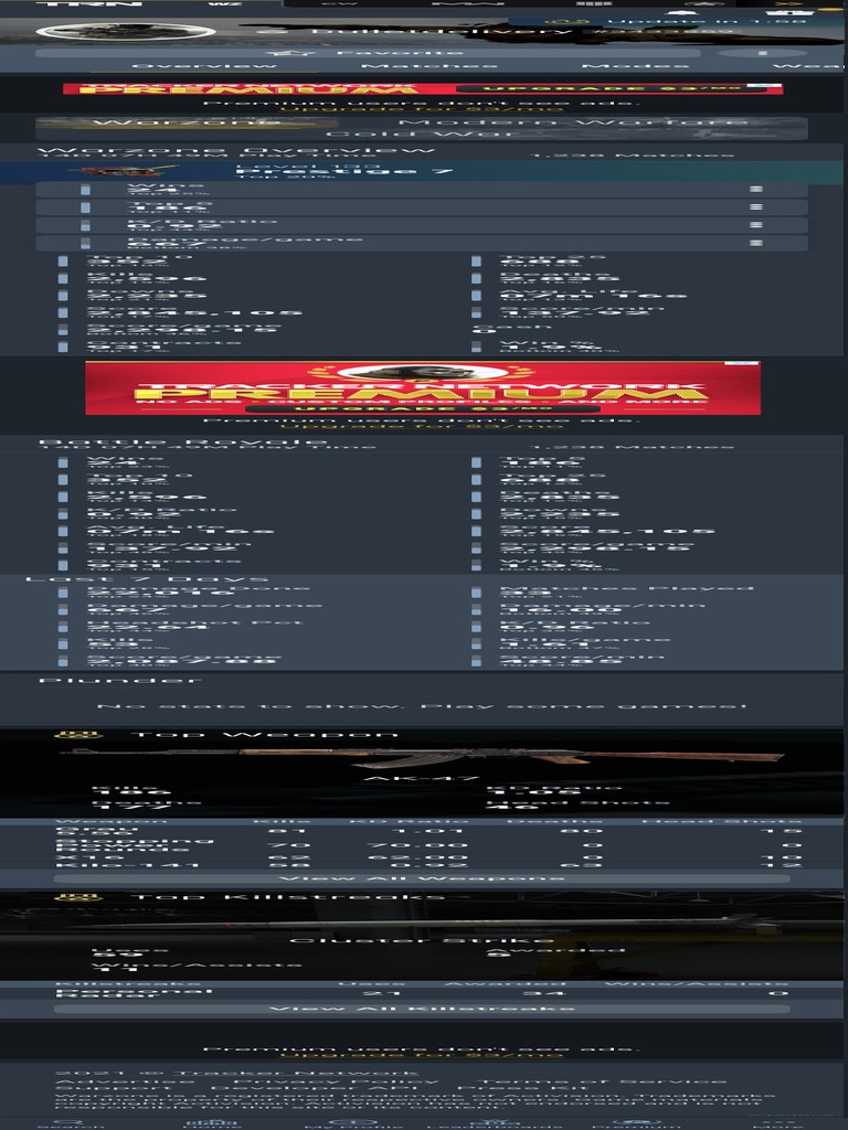 Bulletdelivery#3433559's Warzone Overview - COD Warzone Tracker | PDF