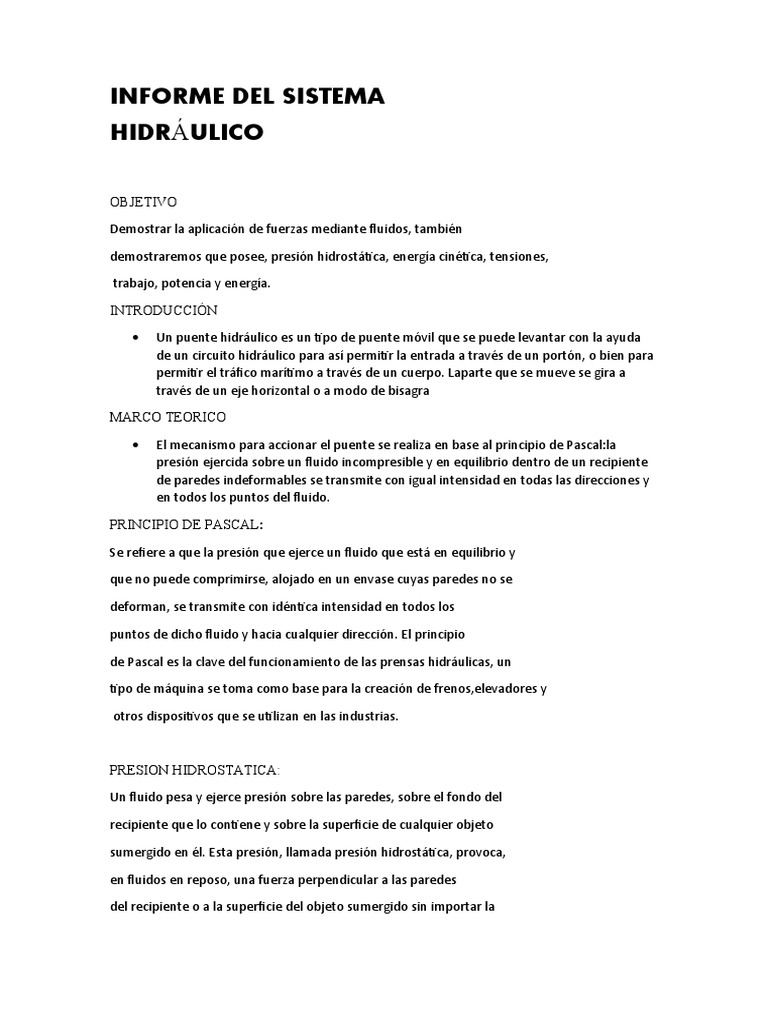 Informe Del Sistema Hidr Ulico | PDF | Ciencia y matemáticas | Tecnología