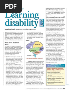 Lesson Plan Brain | PDF | Cerebrum | Central Nervous System