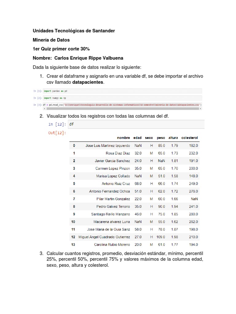 Quiz Mineria de Dato 1 | PDF | Informática