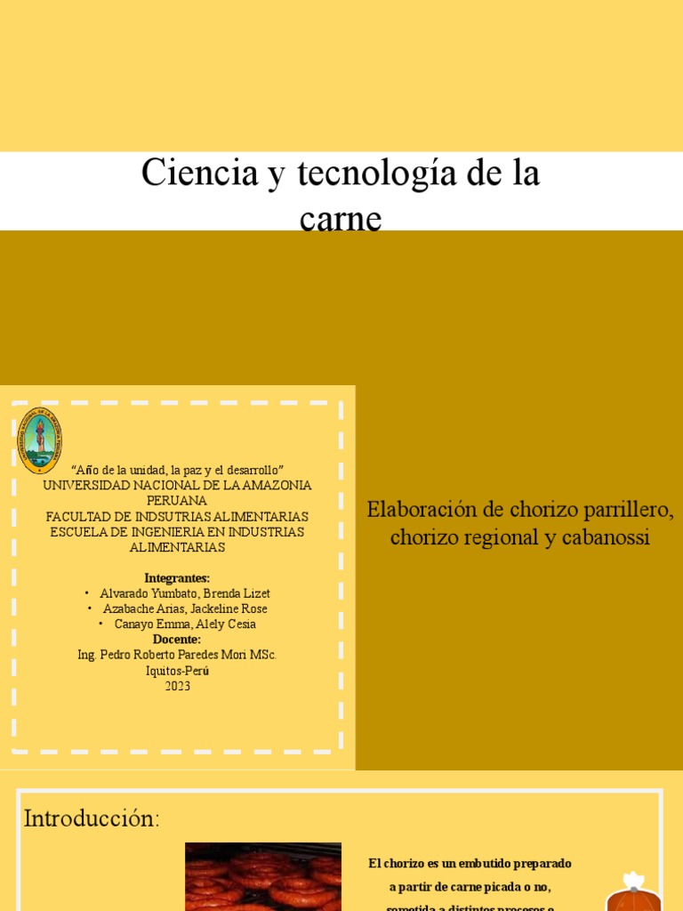 Elaboración de Embutidos Peruanos | PDF