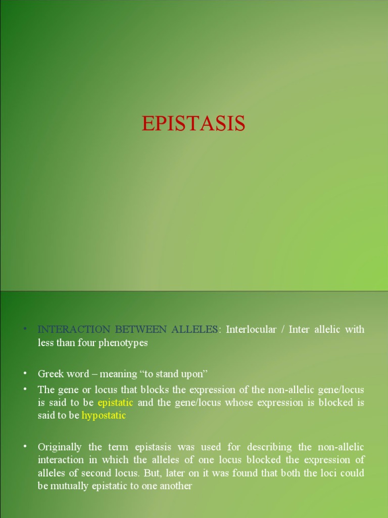7 Epistasis | PDF | Dominance (Genetics) | Blood Type