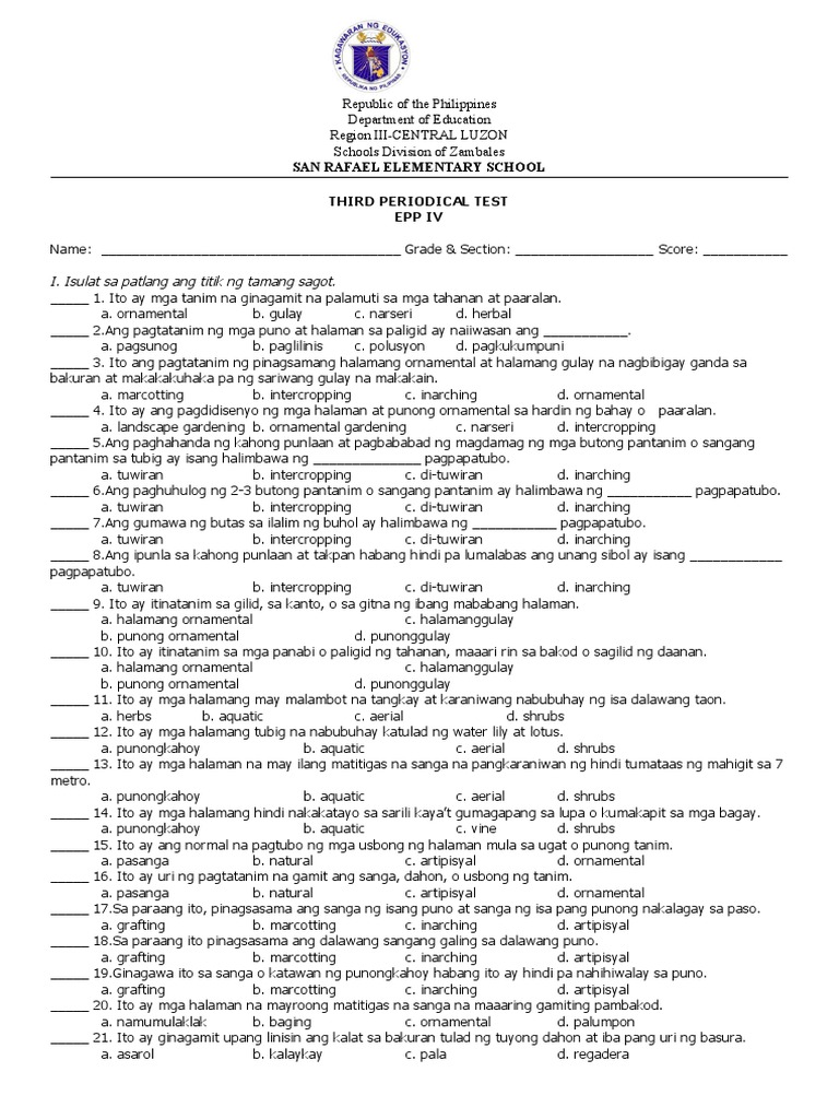 San Rafael Elementary School Third Periodical Test Epp Iv | PDF