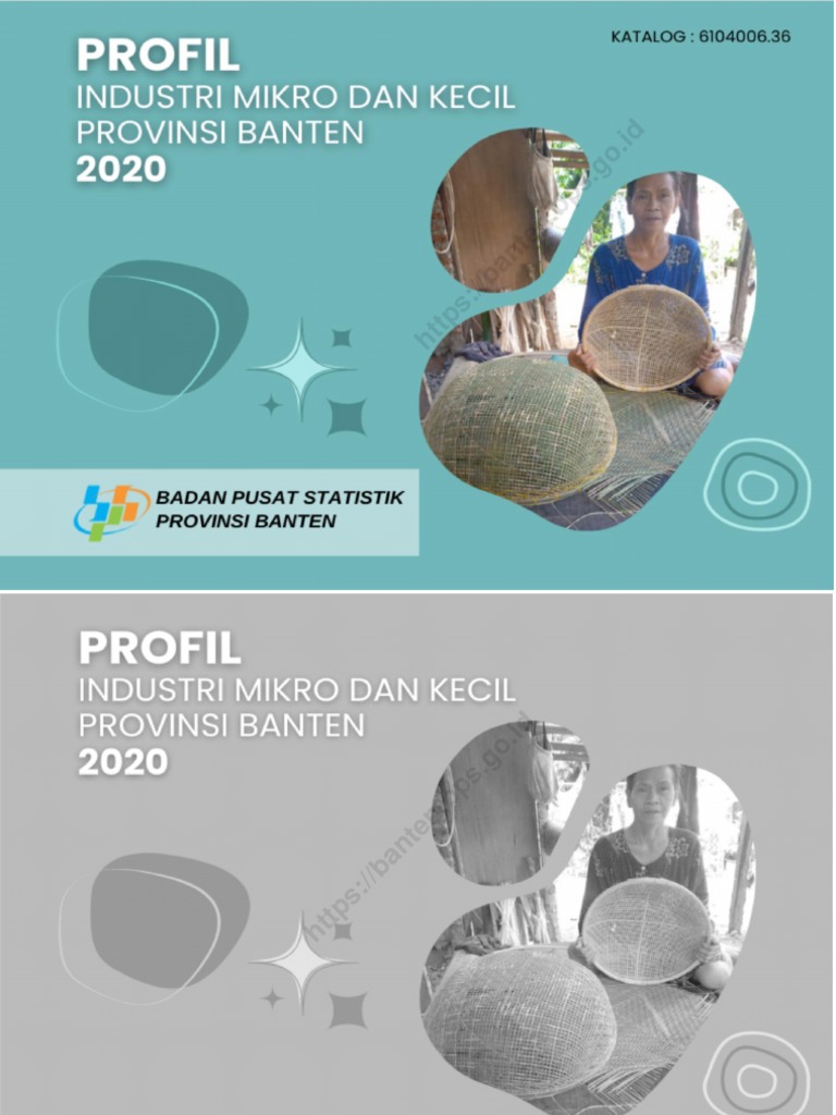 Profil Industri Mikro Dan Kecil Provinsi Banten 2020 | PDF