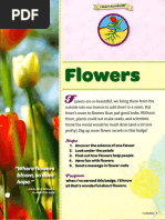 Drawing Flowers | PDF | Flowers | Plants