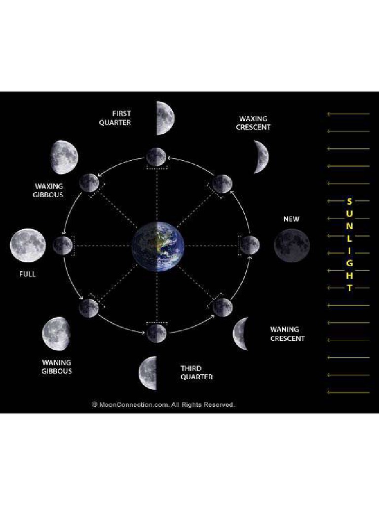 Moon Phases Diagram | PDF