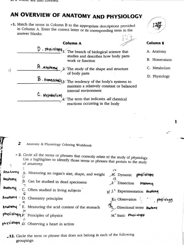 ANAPHY QUIZ AND PRACTICE TEST NO-2 26-Aug-2023 15-44-38-1 | PDF