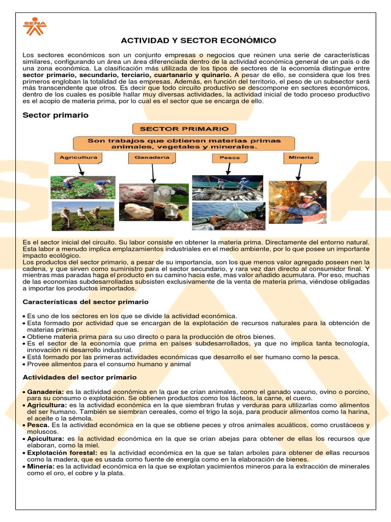Actividad y Sector Económico | Descargar gratis PDF | Alimentos | Business