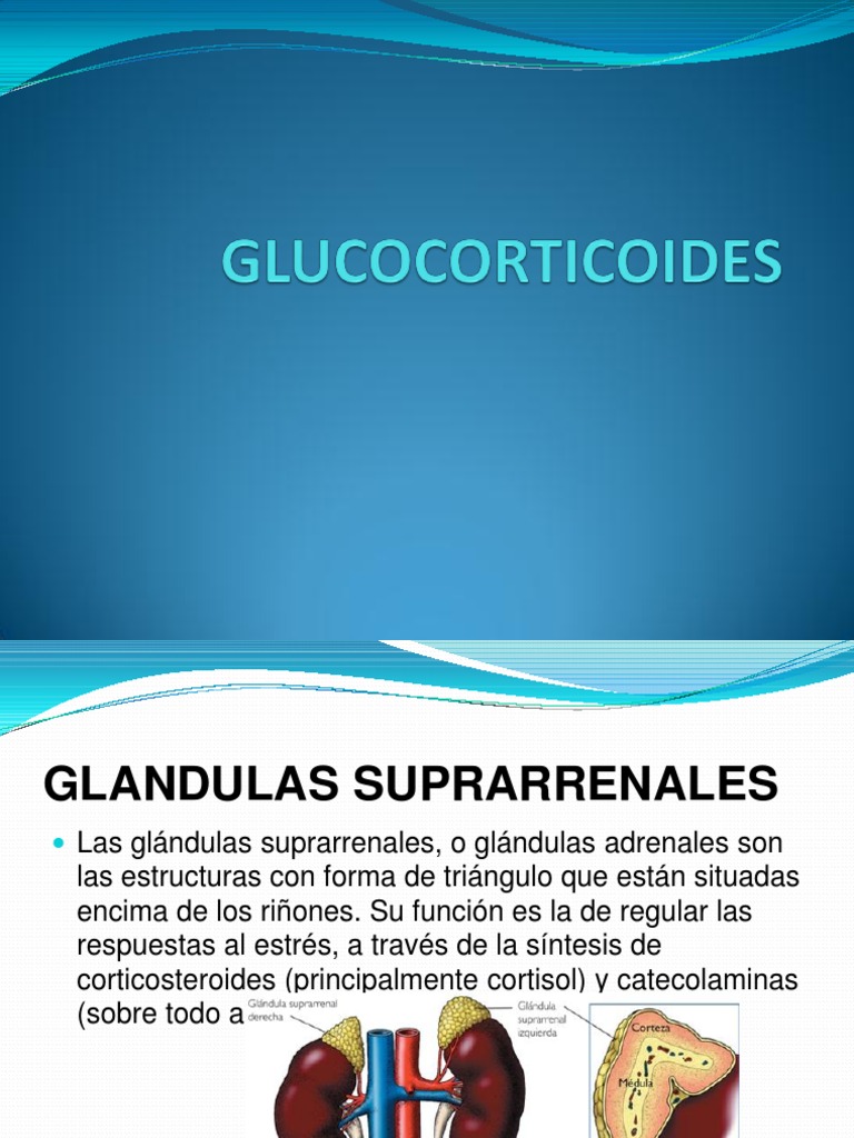 Presentacion Glucocorticoides | PDF | Glándula suprarrenal ...