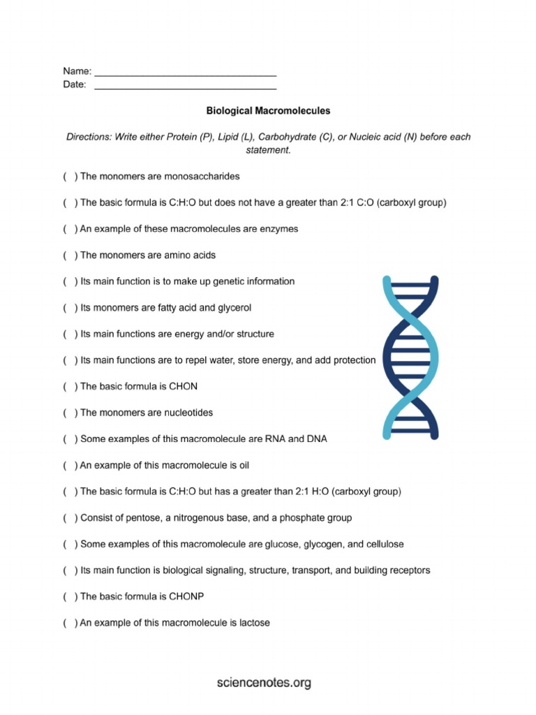 Biological Macromolecules | PDF