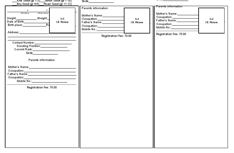 BSP Form | PDF