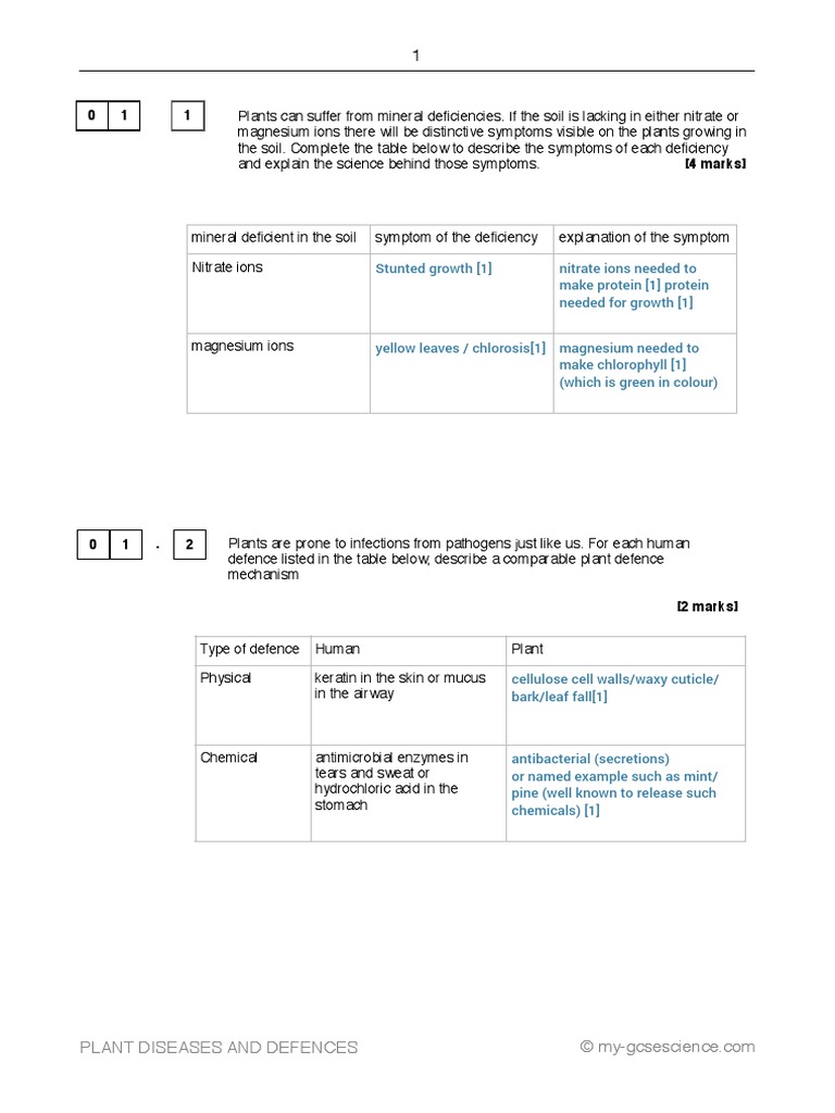 Plant Diseases and Defence Responses Answer - Scheme | PDF | Plants | Leaf