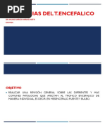 Sindromes Alternos Del Tallo | PDF | Desórdenes neurológicos ...