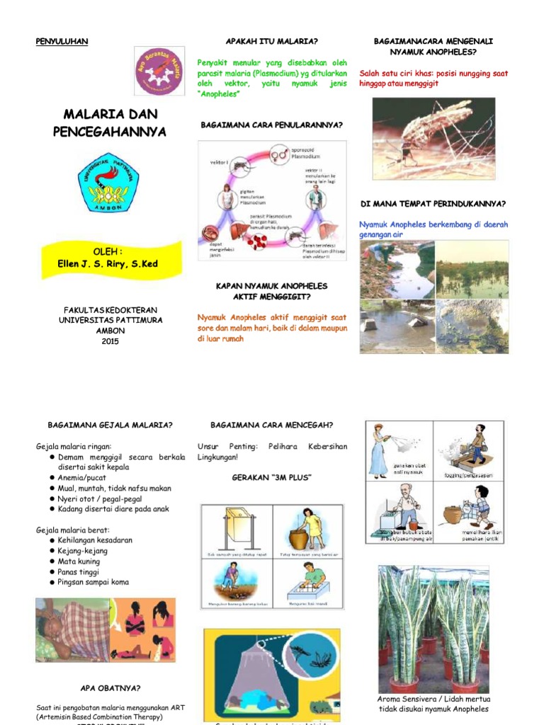 Leaflet Malaria | PDF