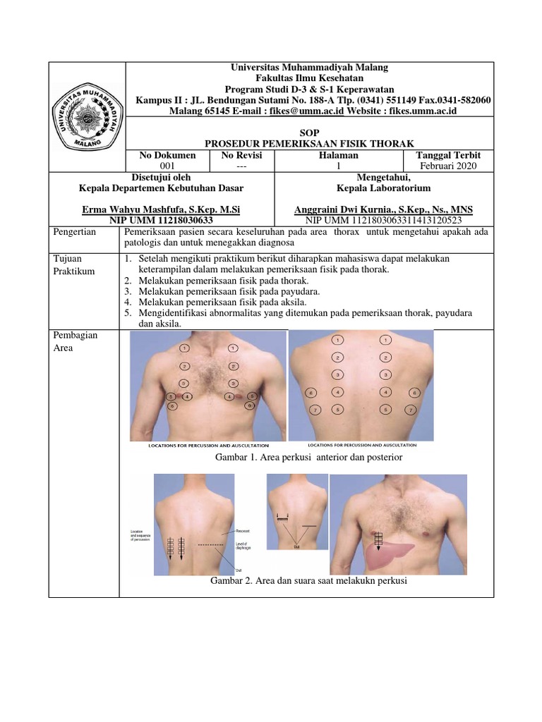 Tambahan SL Idk 1 (PX Abdomet Dan Thorax) | PDF