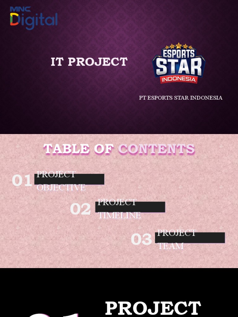 IT Project Overview for PT Esports Star | PDF | Computer Engineering ...