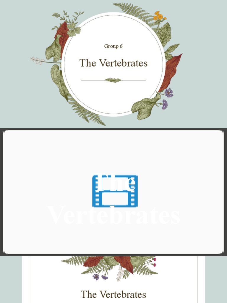 The Vertebrates | PDF | Fish | Vertebrates