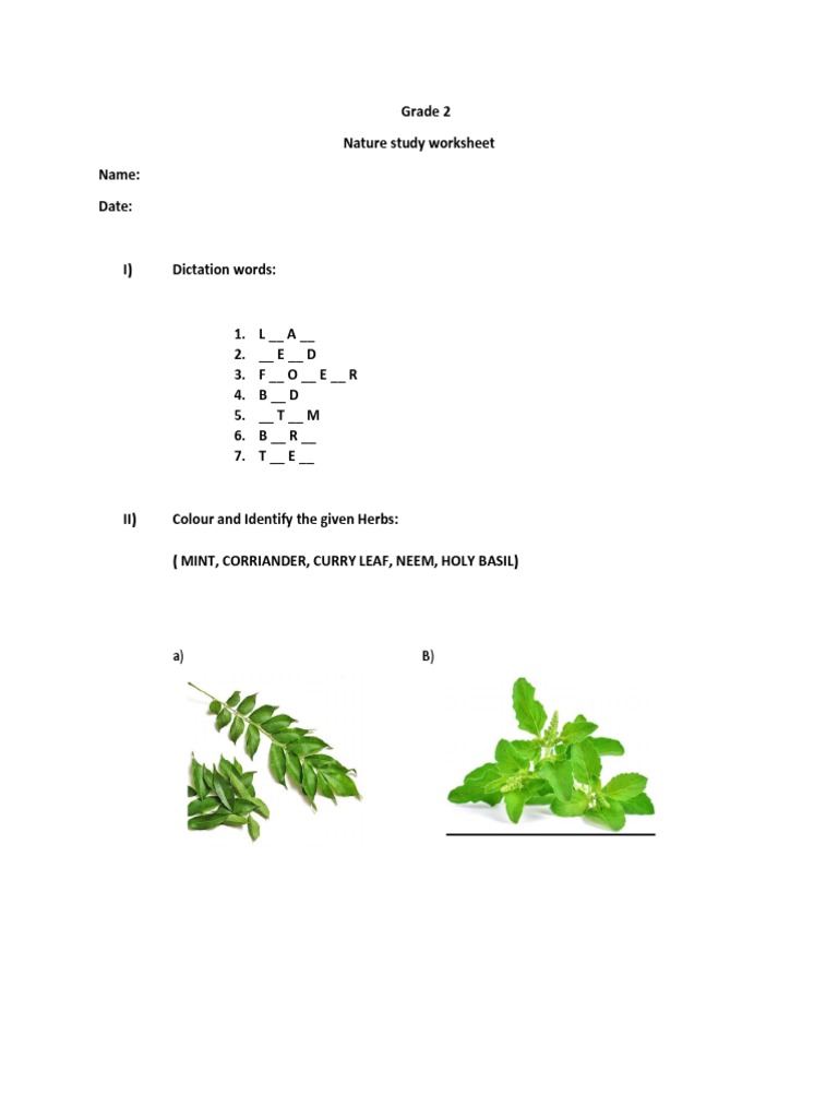 Nature Study Worksheet | PDF