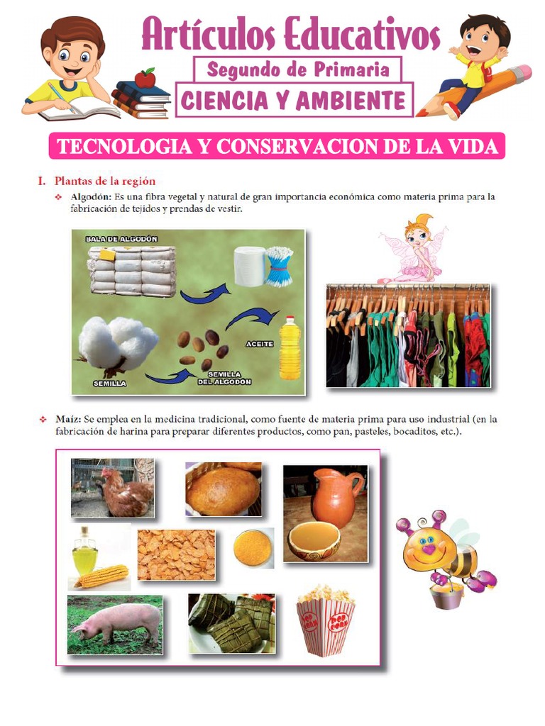 Tecnologia y Conservacion de La Vida para Segundo de Primaria | PDF