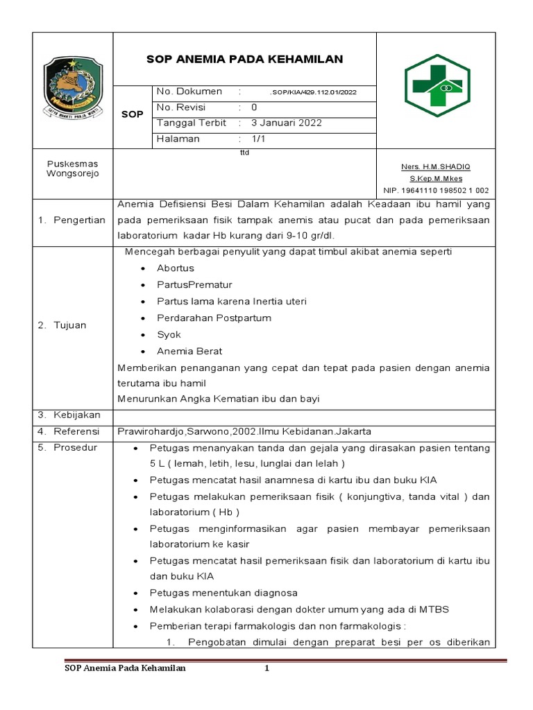 Sop Anemia Pada Kehamilan Ni Nyoman | PDF