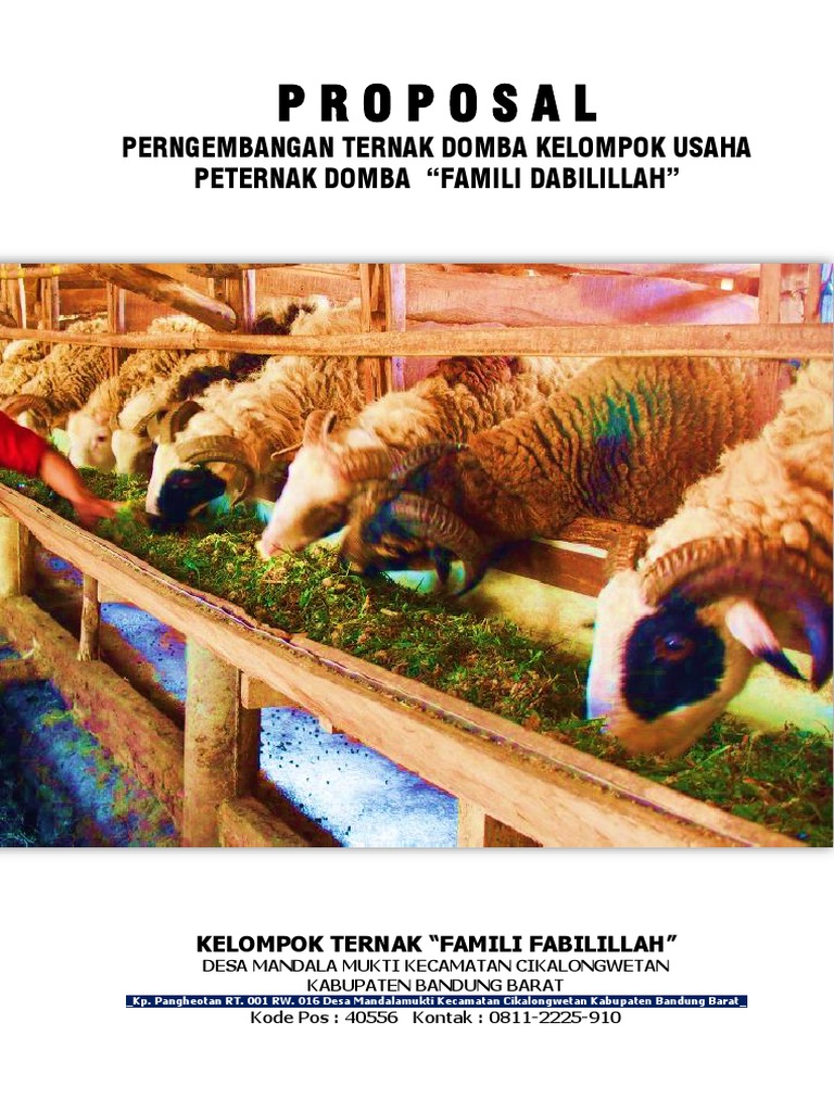 Proposal Ternak Domba | PDF
