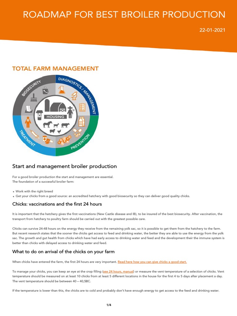 Roadmap For Best Broiler Production | PDF | Broiler | Poultry Farming