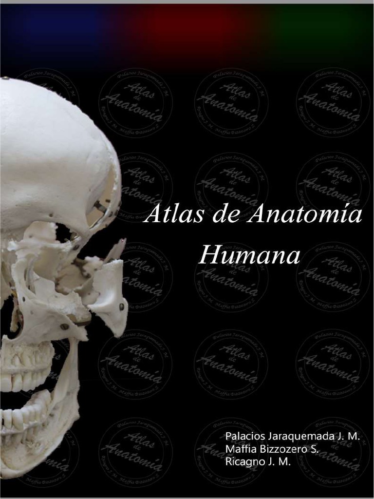 ATLAS Cat 1 | PDF | Enseñando | Aprendizaje