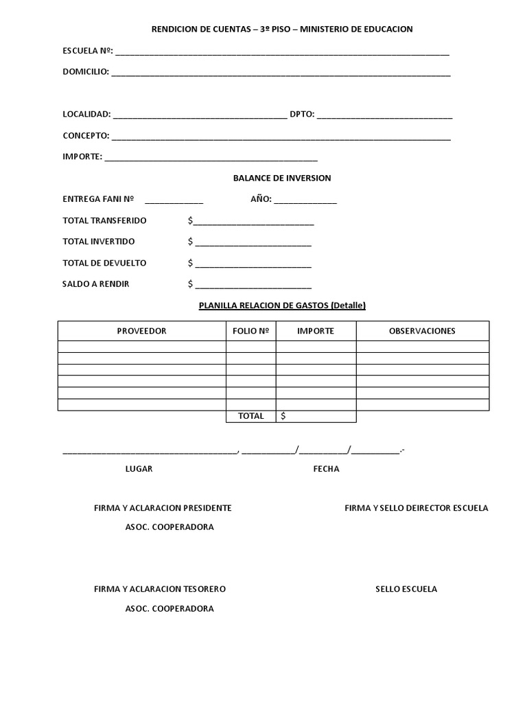 Rendicionde Cuentas Planilla 3 Fani en Blanco | PDF