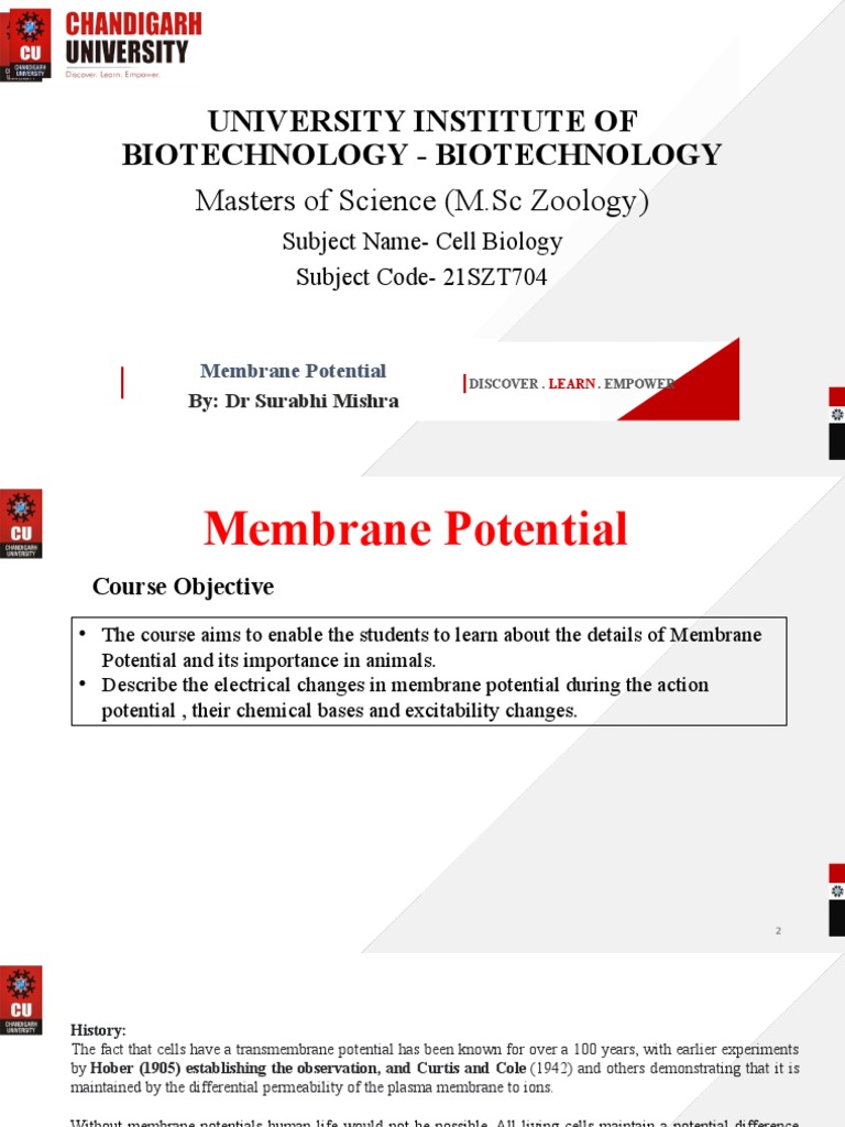 Membrane Potential | PDF | Chemical Synapse | Action Potential