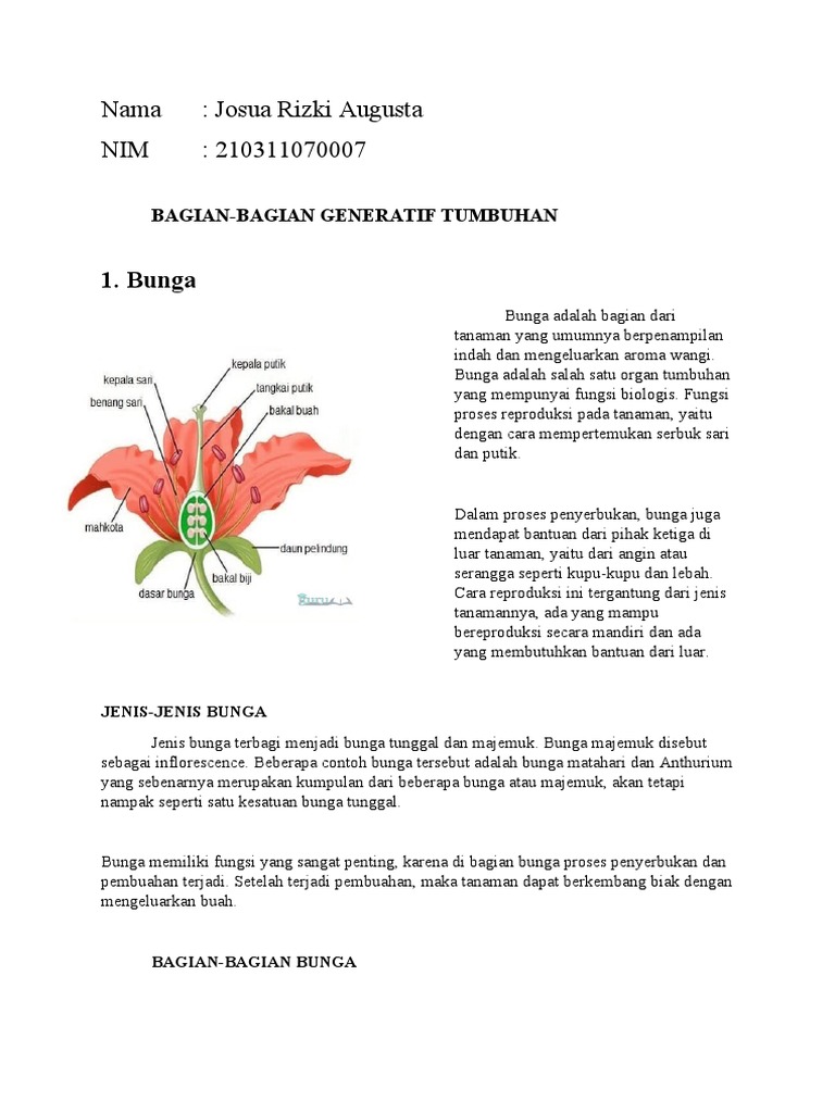 Struktur dan Fungsi Bunga Tumbuhan | PDF | Sains & Matematika