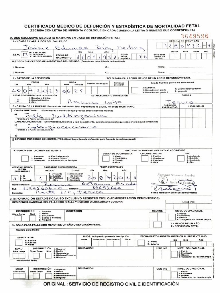Certificado Defuncion | Descargar gratis PDF | Muerte | Salud pública