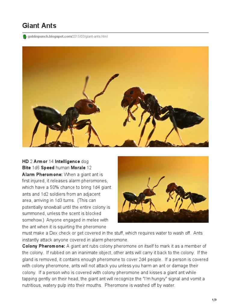 Giant Ants | PDF | Ant | Pheromone