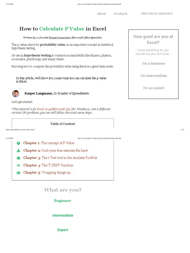 Calculate P Value in Excel (Step-By-Step Tutorial) | Download Free PDF | P Value | Microsoft Excel